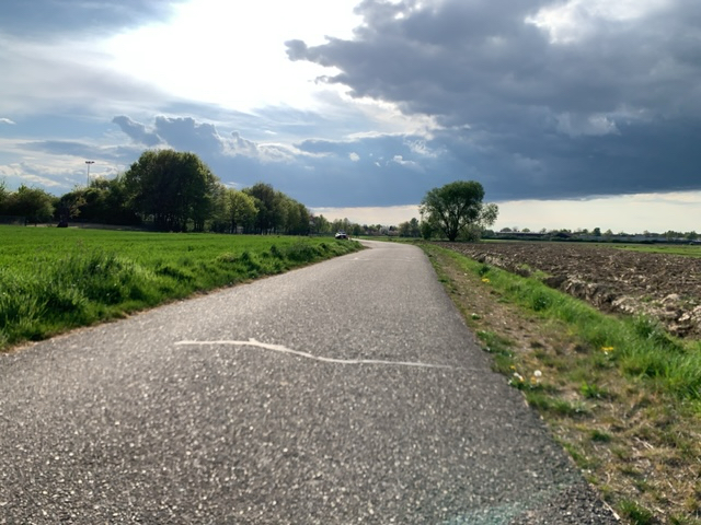 Romko: My Real Video - Elite