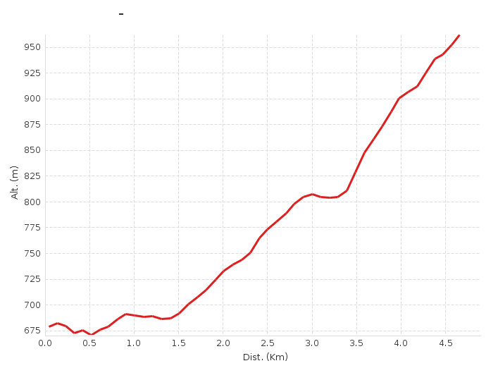 Ealing 1: My Real Video - Elite