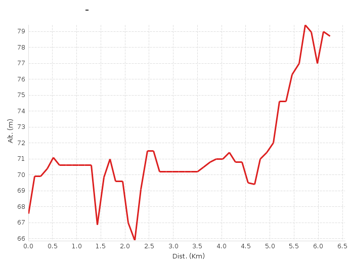 Ealing 1: My Real Video - Elite